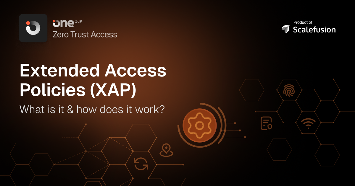 What Are Extended Access Policies (XAP)?