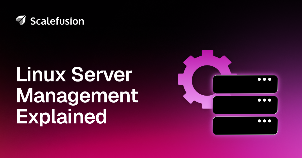 Linux Server Management Guide: Key Basics Explained