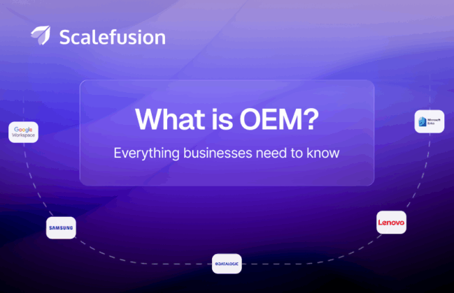 What does Original Equipment Manufacturer (OEM) mean?