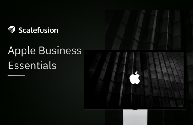 Apple Business Essentials : Everything You Need to Know