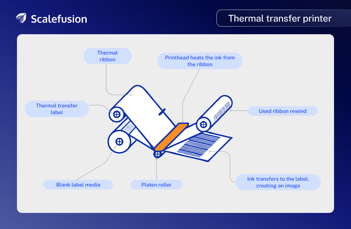 Direct Thermal vs Thermal Transfer: What’s the Difference?